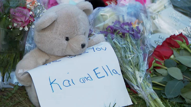 'Beyond tragic': Babysitter shares memories of slain Wellesley children