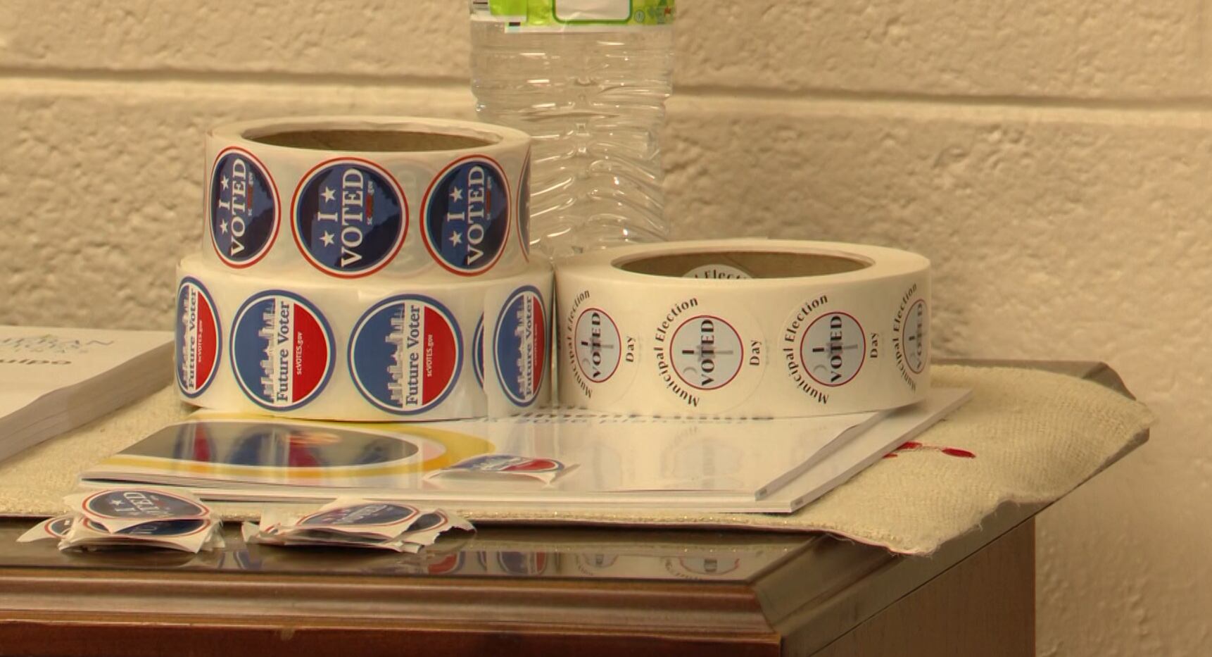 SC sees record turnout on first day of early voting for June primaries