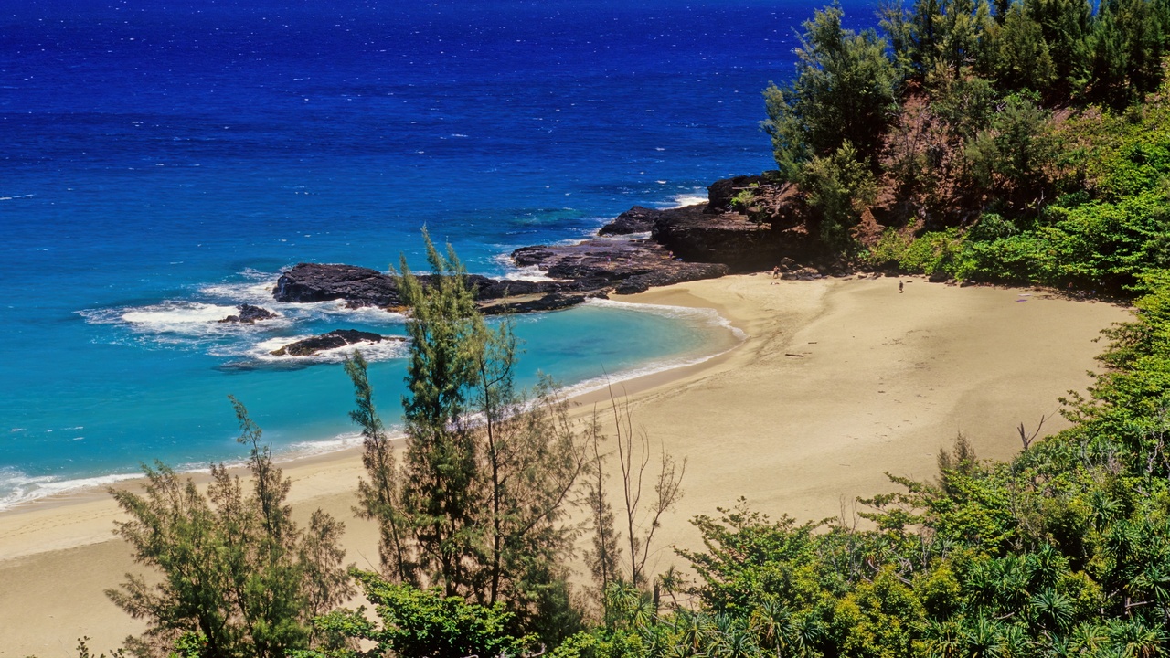 Kauai’s south shore beach has wild turtles, sleeping monk seals, and ...