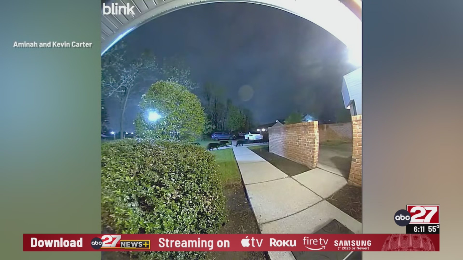 Bears waking up from hibernation may roam Midstate communities