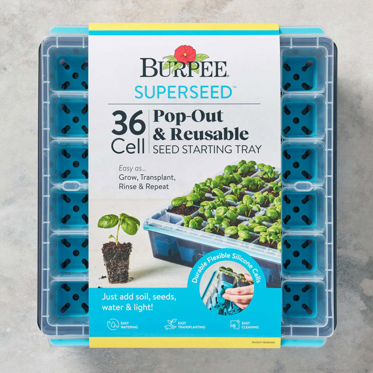 Succession planting is your secret weapon this season – harvest twice ...