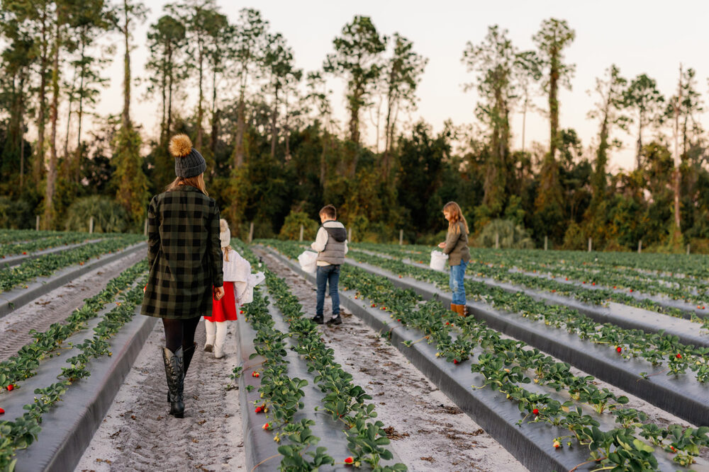 15 warm weather farm trips for families this time of year