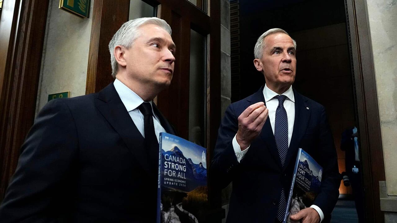 Federal budget update includes plan to cut back on management consultants