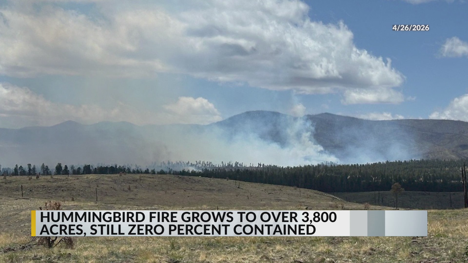 Hummingbird Fire burns inside Gila National Forest