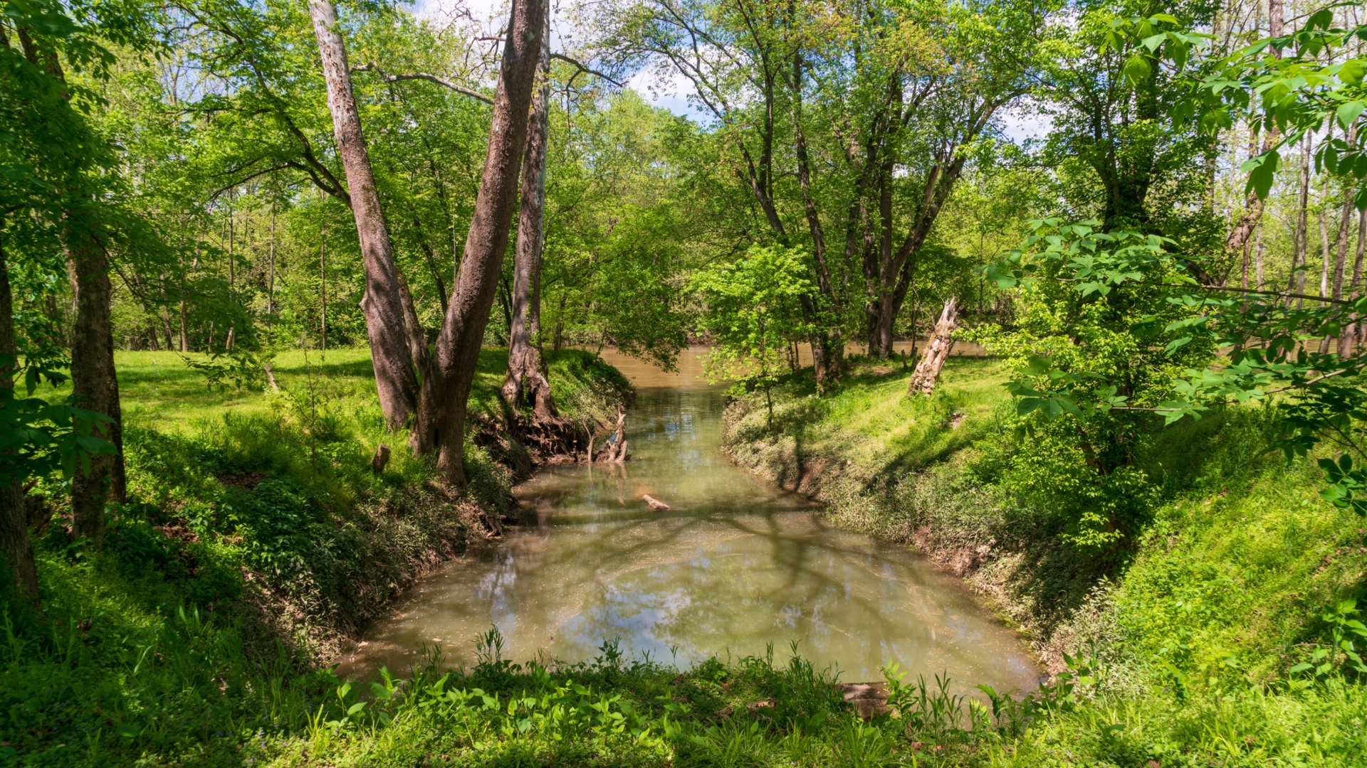 Kids Playing In The Woods Find Suitcase With Human Remains Of Man Whose ...