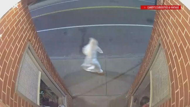 West Warwick police investigating viral video of person in white robe ...