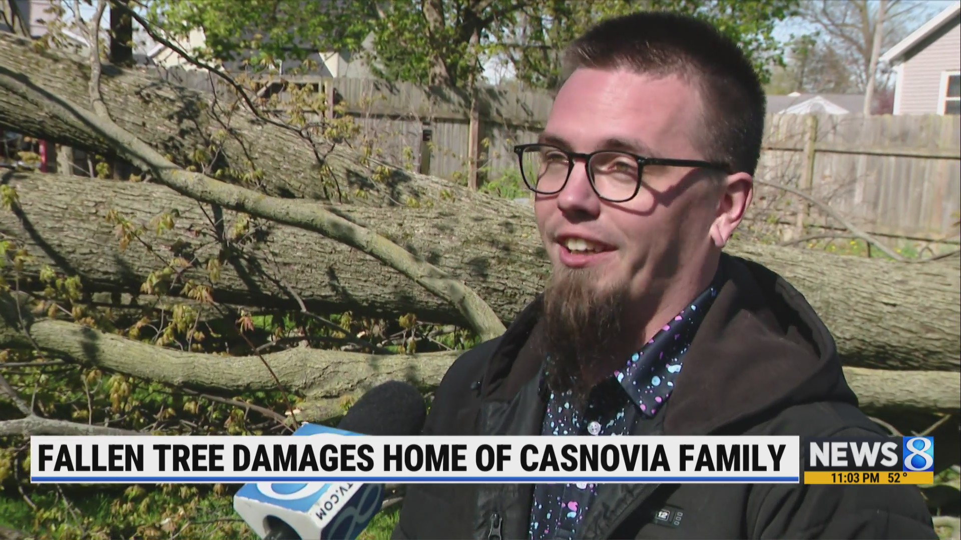Family cleaning up after massive tree falls on Casnovia home