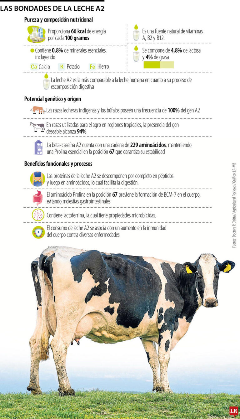 Nueva Leche A2 se encuentra potenciando una nueva categoría láctea en ...