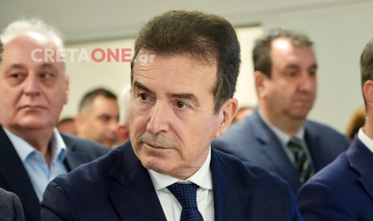 Χρυσοχοΐδης για τις επιθέσεις του ηλικιωμένου: «Δυστυχώς υπάρχουν κενά ...