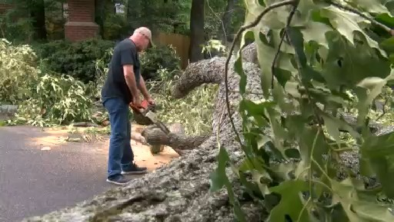 Storm causes high winds, large tree to fall in west Little Rock
