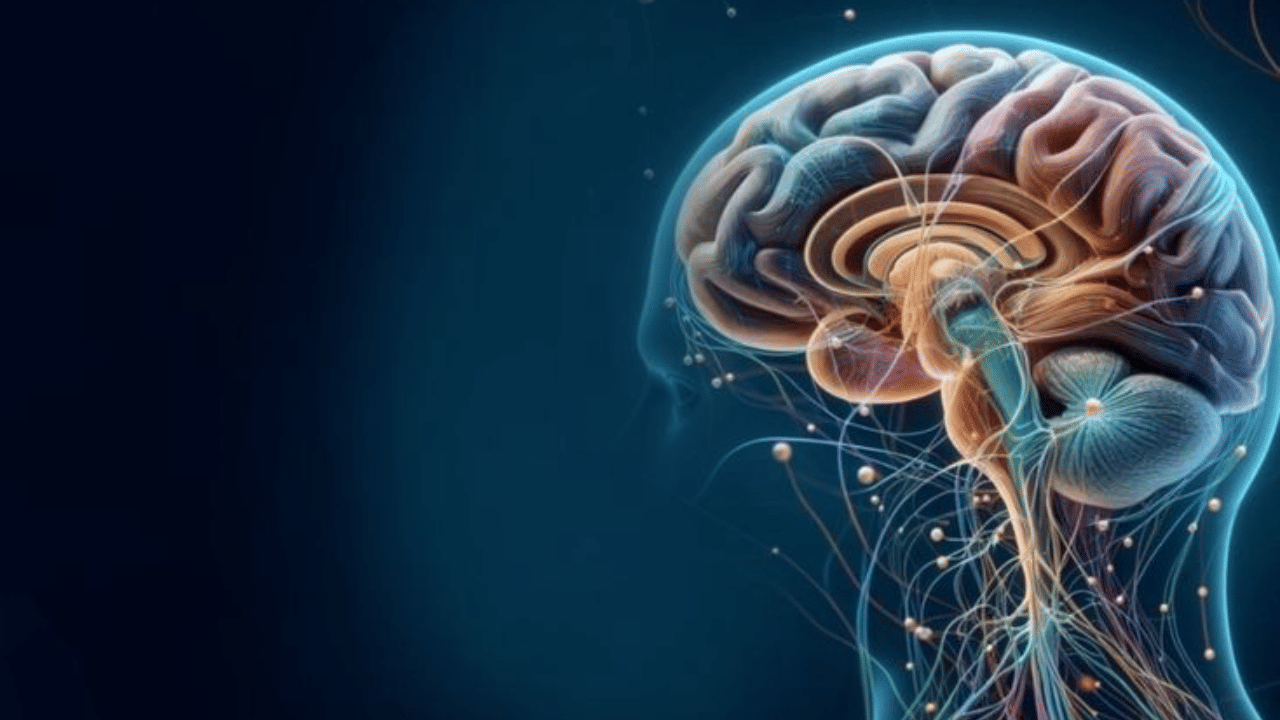 1 in 7 stroke patients in India are aged 18–44: ICMR warns of lifestyle ...