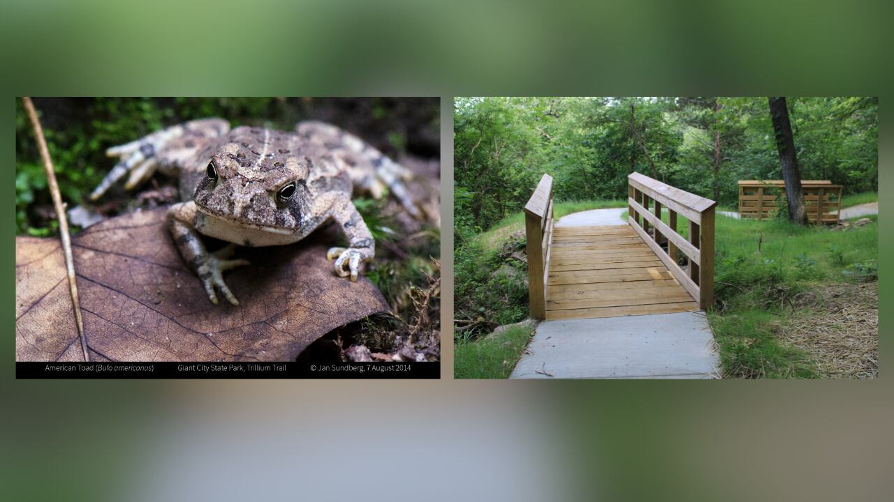 May events at Giant City State Park