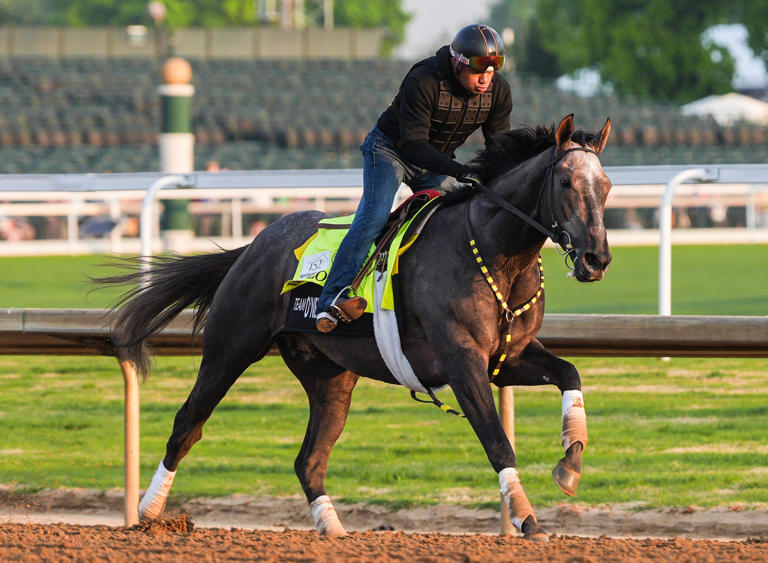 Pavlovian horse trainer, jockey, owner for Kentucky Derby 2026