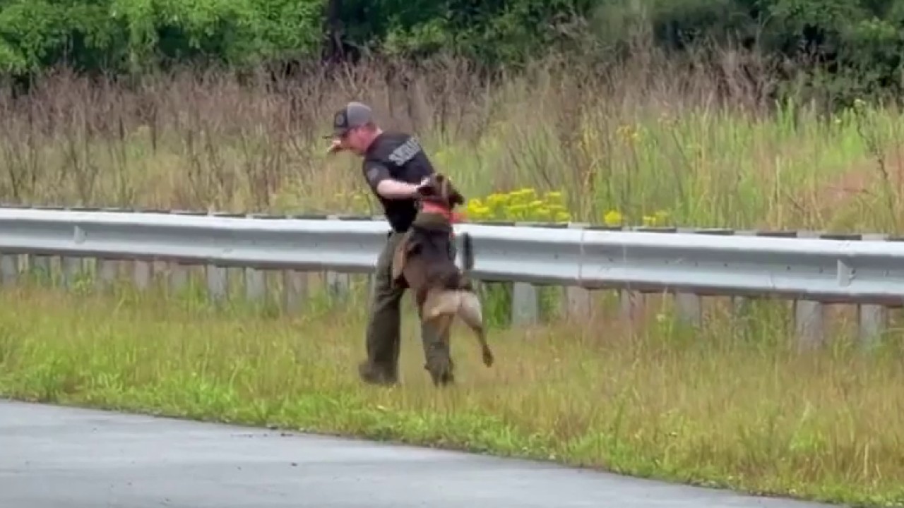 Metro Atlanta hosts massive police dog training exercise