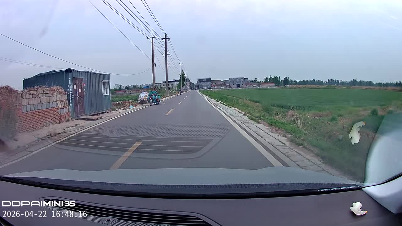 Woman on bicycle crashes into car while chased by dog in Shandong, China