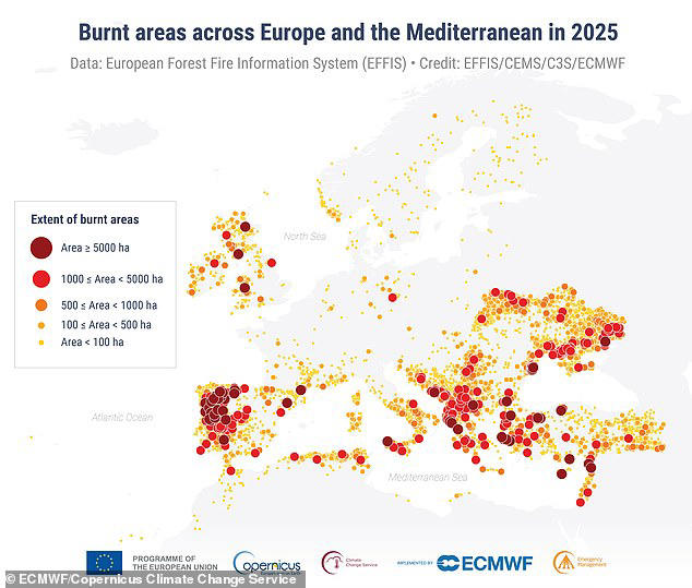 Europe is warming more than twice as fast as the global average, report ...