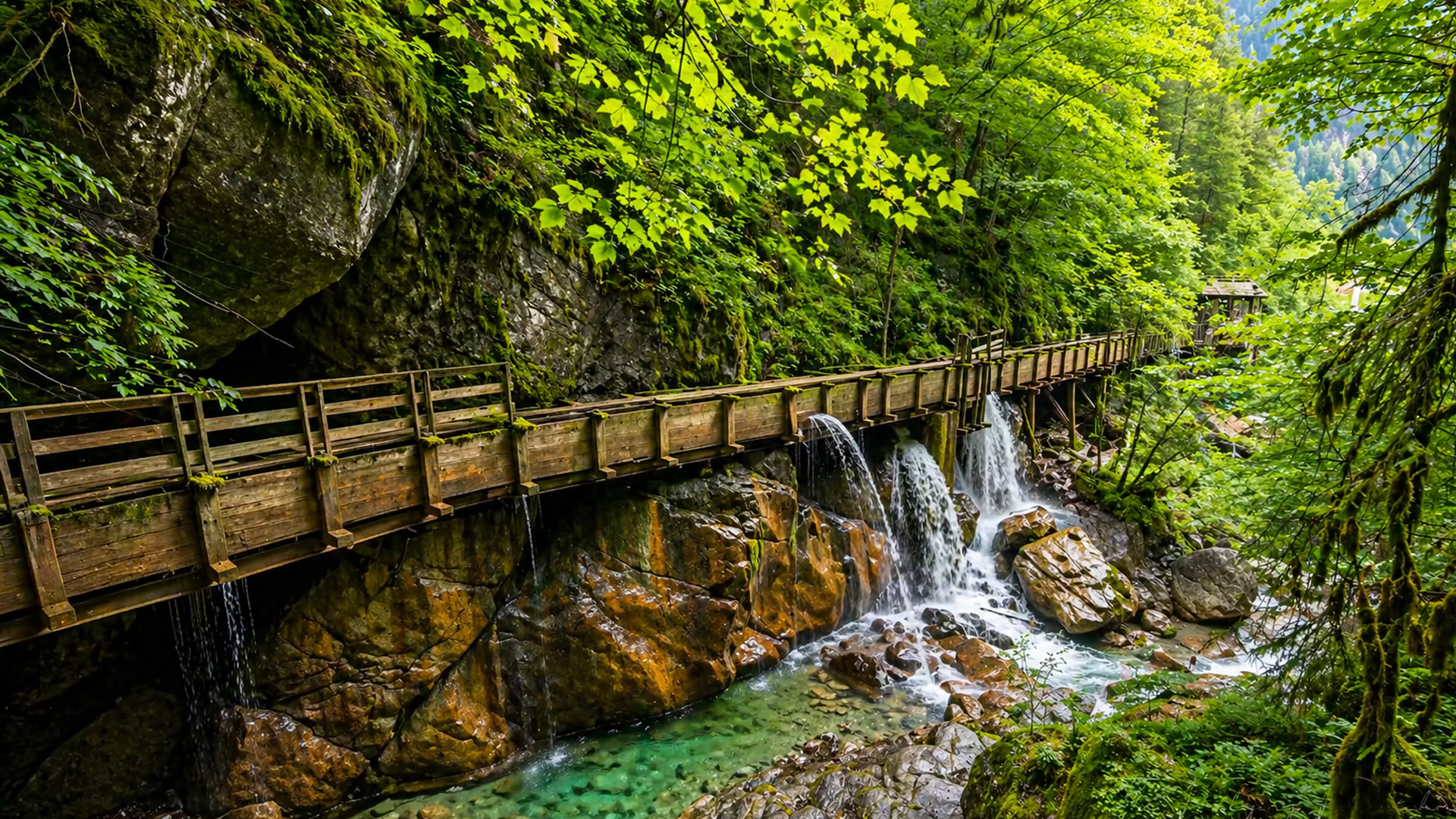 สำรวจความงดงามของธรรมชาติที่ Seisenbergklamm ประเทศออสเตรีย (4K)