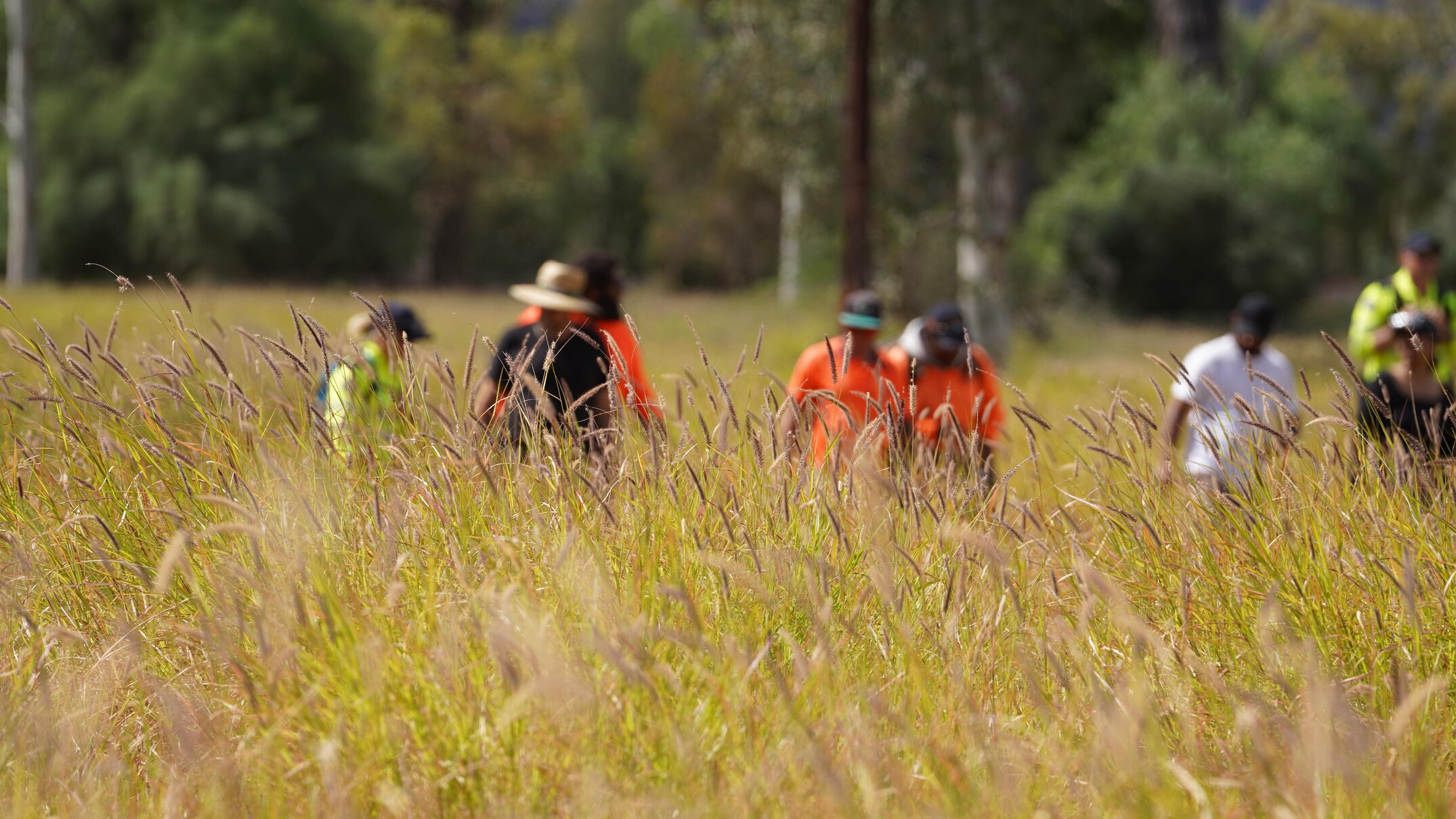 NT Police providing update on missing 5yo Alice Springs girl Sharon ...