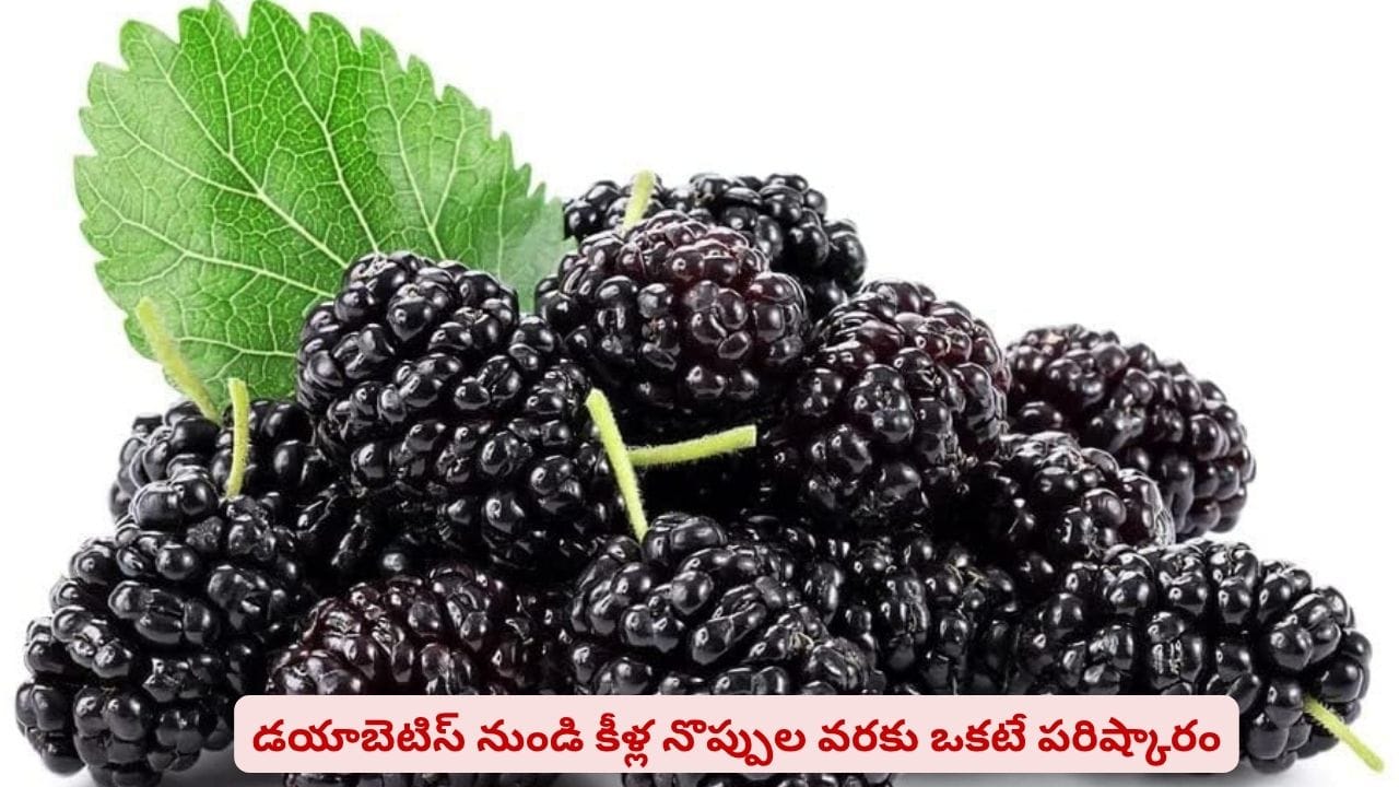 సమ్మర్‌లో మధురమైన ఫ్రూట్..! ఈ చిన్న పండులో దాగున్న హెల్త్ సీక్రెట్స్ ఇవే