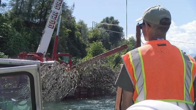Redding sees novel approach to salmon recovery through installation of ...