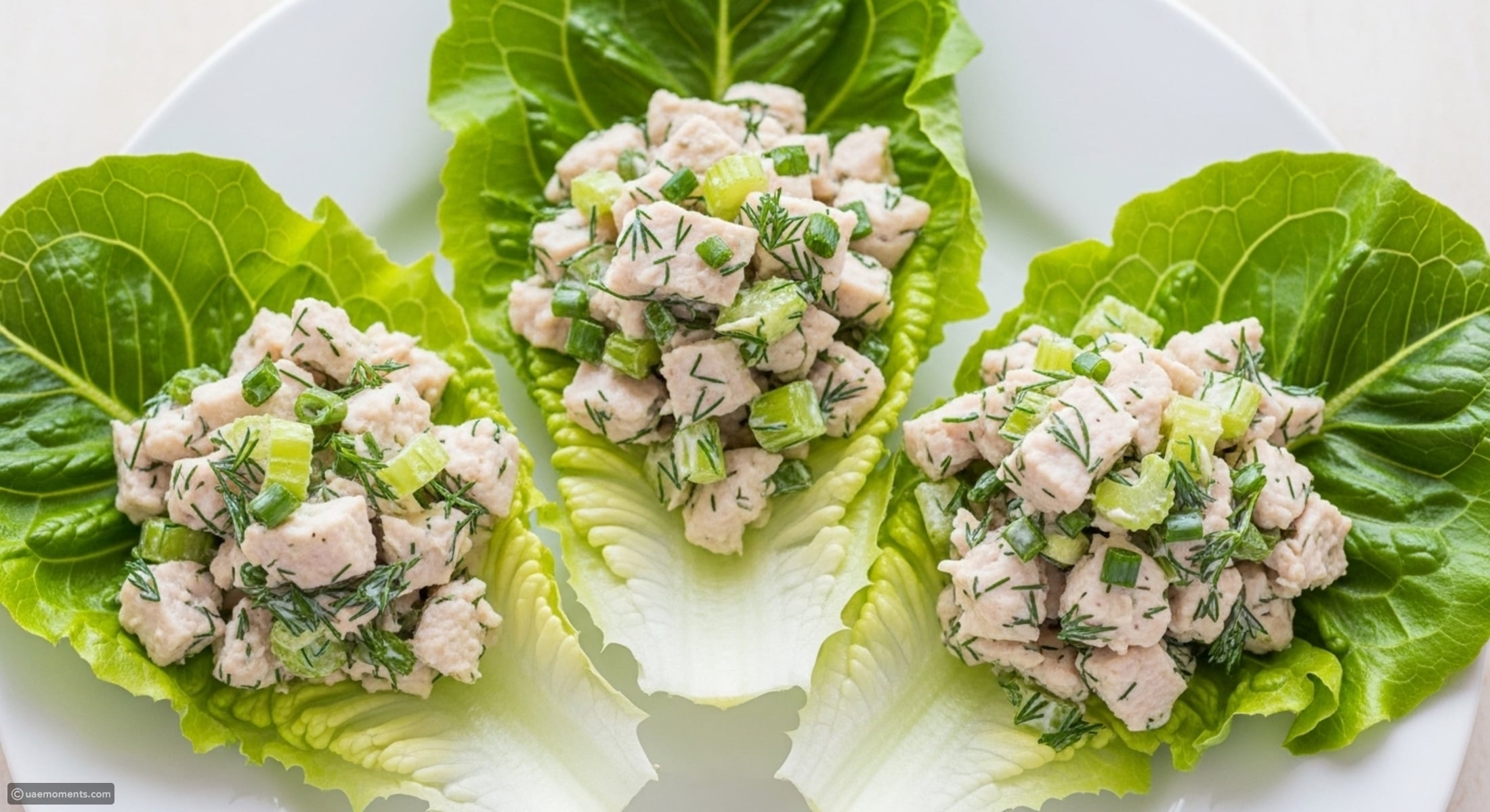 10 easy lunch ideas ready in 15 minutes