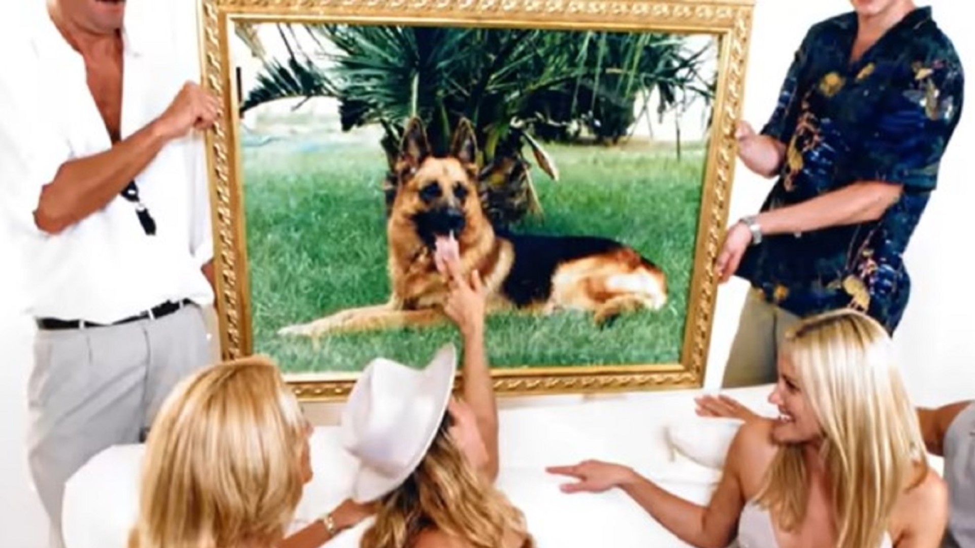 The richest pets in the world and how they got their fortunes