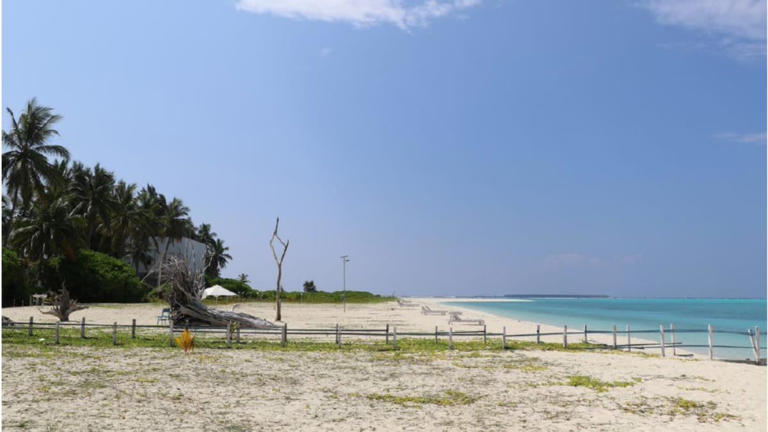 Beyond Goa's crowds: 5 hidden beaches in India perfect for a calm escape