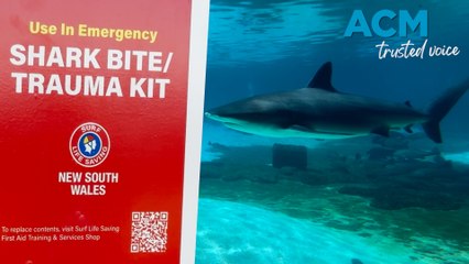 Seconds matter: how to give first aid after a shark attack