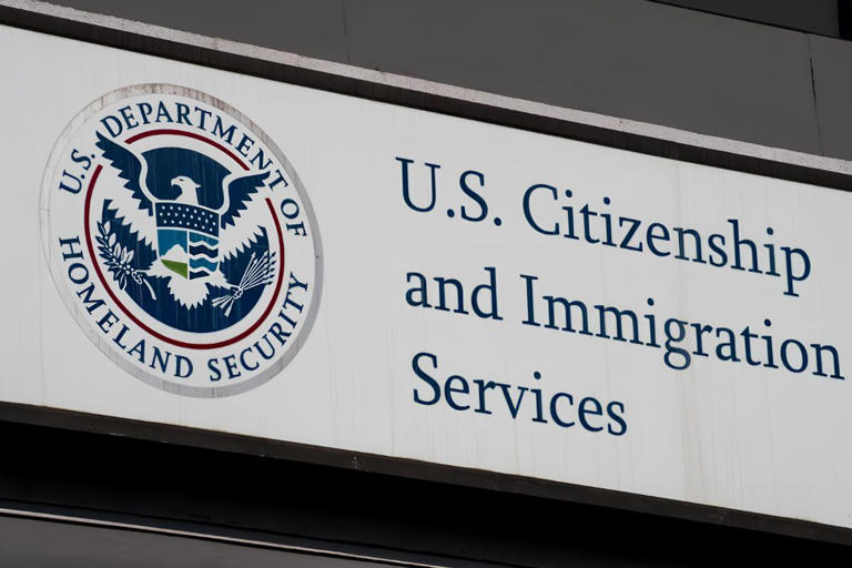 Expanded USCIS background checks and AI vetting policies delay green ...