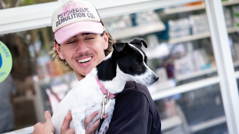 After three days on a ledge, and two at the vet, Elbie is just fine ...