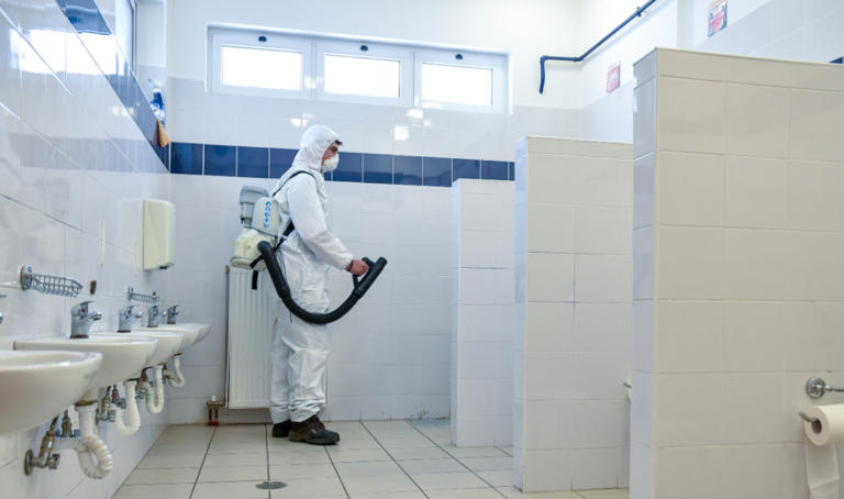 Ποια η διαφορά της απολύμανσης με την απεντόμωση και η σημασία τους στη ...