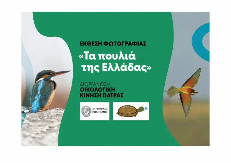 Έκθεση φωτογραφίας της ΟΙΚΙΠΑ στα Ψηλά Αλώνια