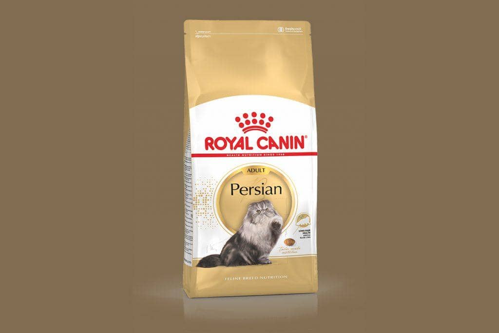 Rekomendasi makanan kucing yang bagus dan kaya nutrisi