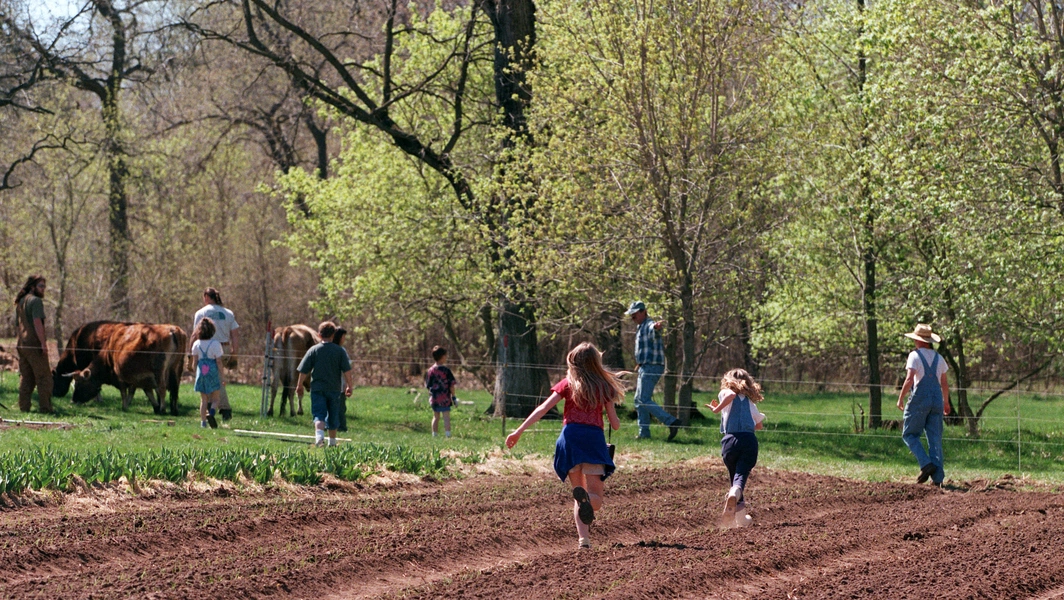 Study links school gardens to better science skills and health