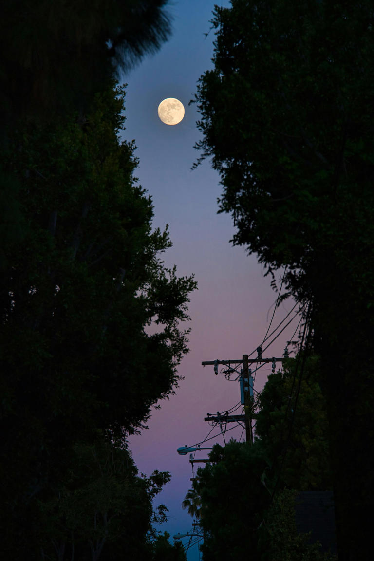 Flower moon: Here's when May's full moon will rise