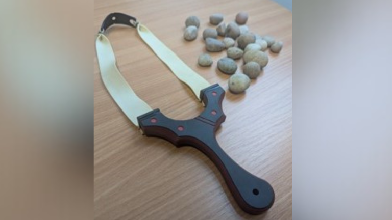 Kent has 14 catapult incidents every day, MP says