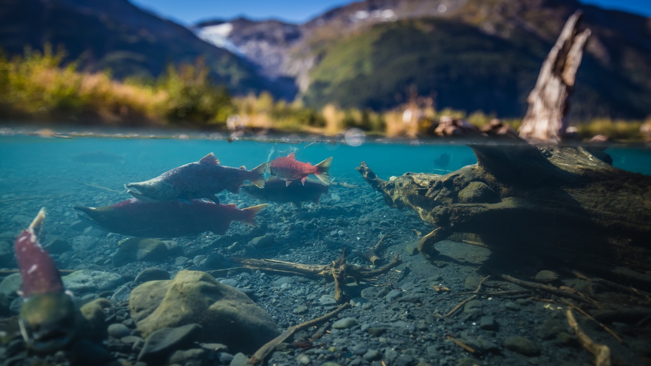 Idaho’s Sawtooth country hides a 387-foot-deep lake with skies you won ...
