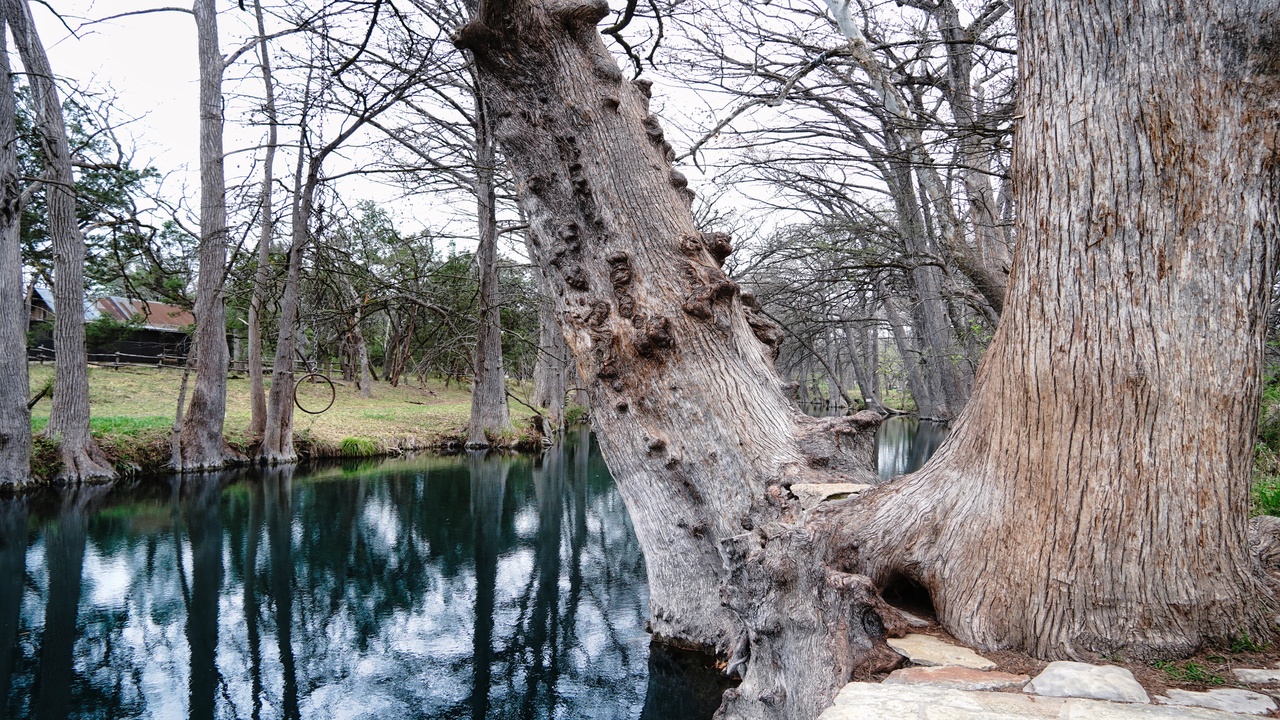This Texas swimming hole stays 68 degrees year-round and the rope ...