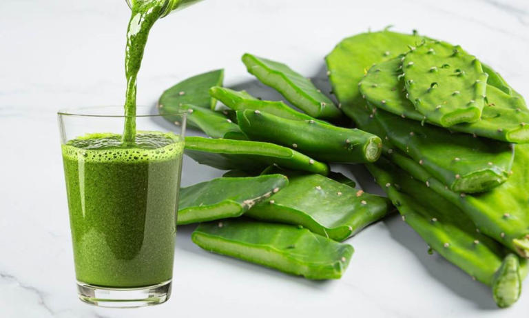 El jugo de nopal, el mejor aliado para mejorar la digestión y controlar ...
