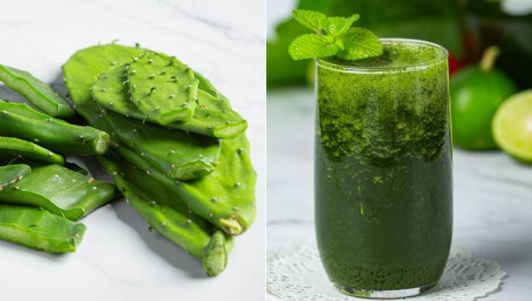 El jugo de nopal, el mejor aliado para mejorar la digestión y controlar ...