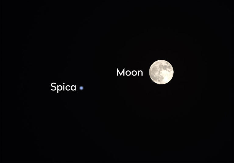 That bright star near the Flower Moon tonight? That's Spica, one of the ...