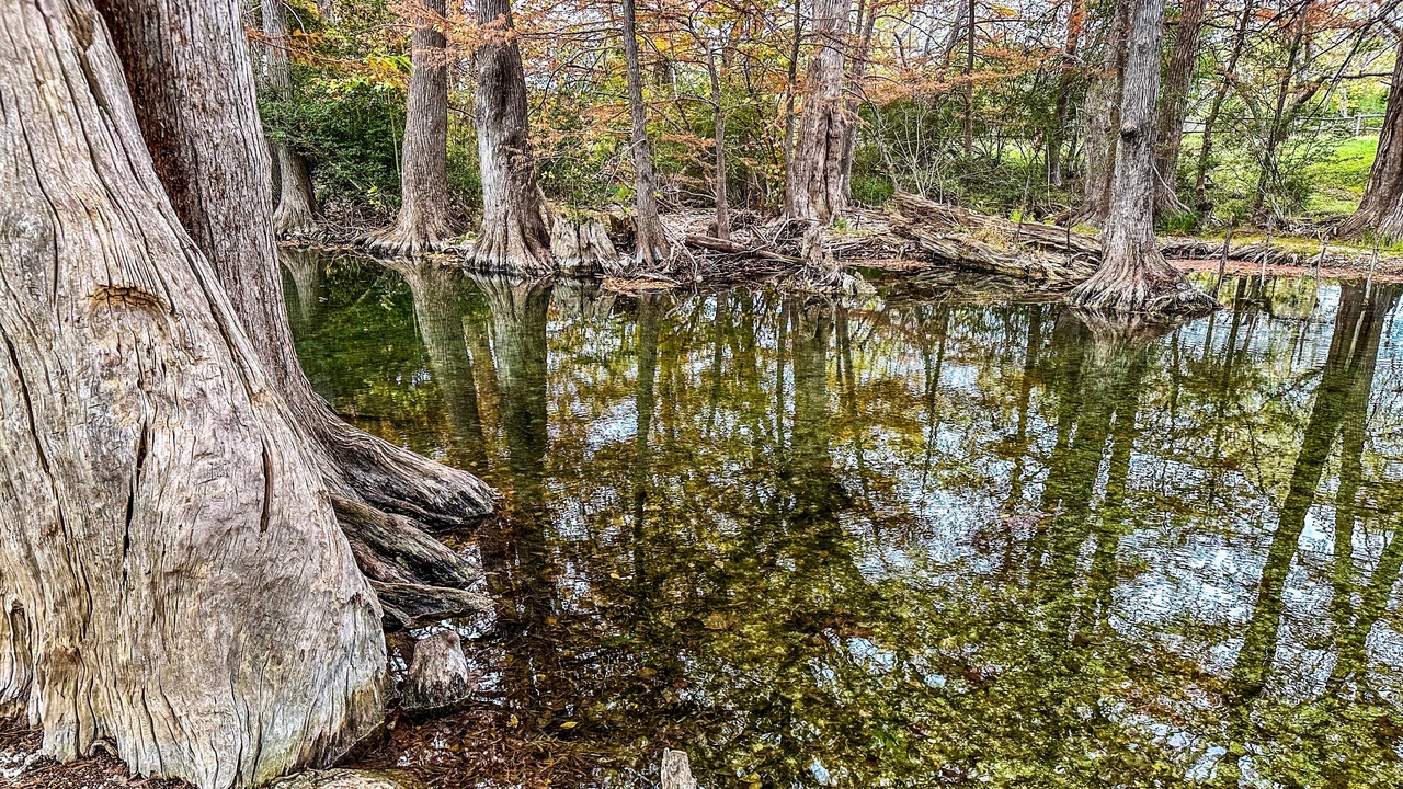 This Texas swimming hole stays 68 degrees year-round and the rope ...