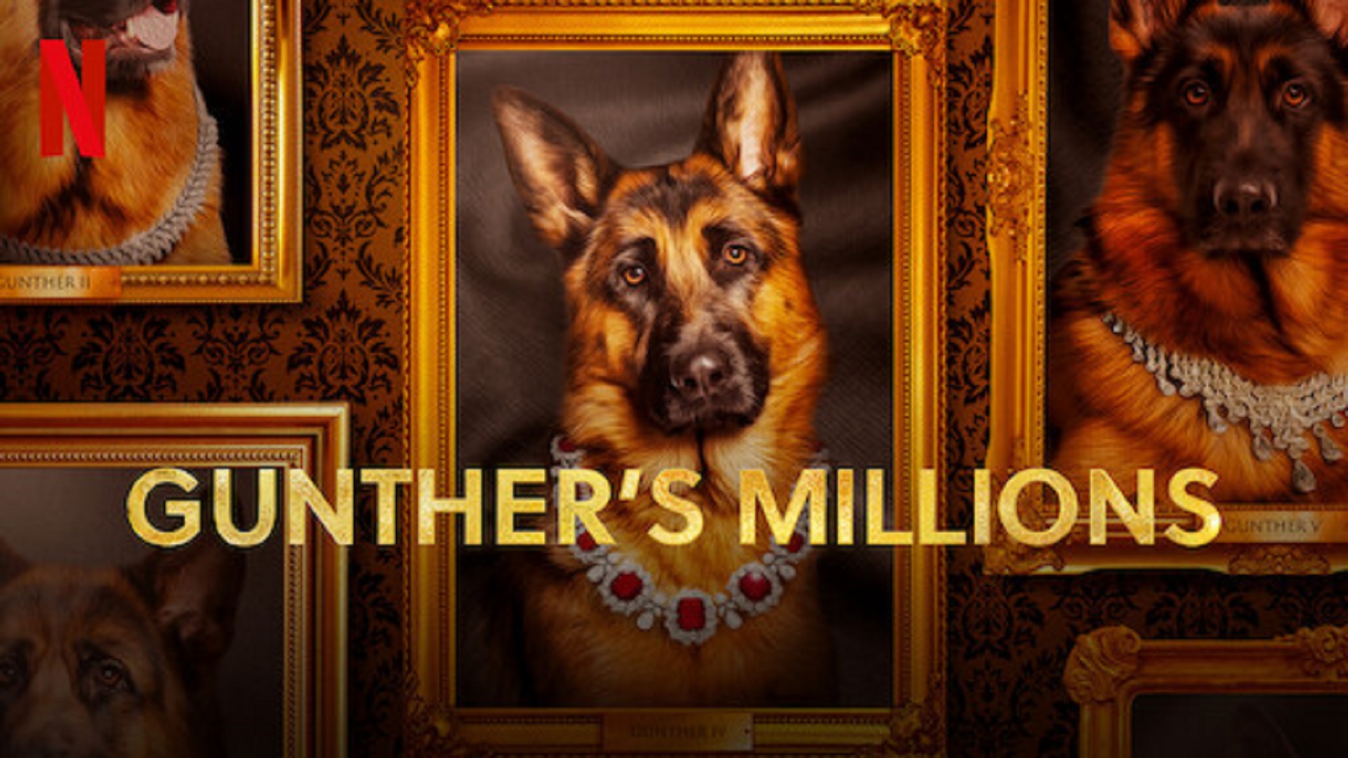 The jaw-dropping fortunes behind the world’s wealthiest pets