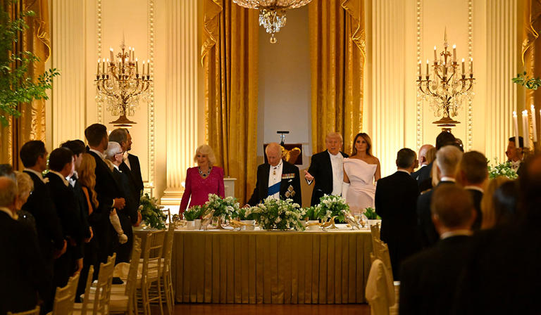 Pics: Melania Trump and Queen Camilla wear matching pink at state dinner