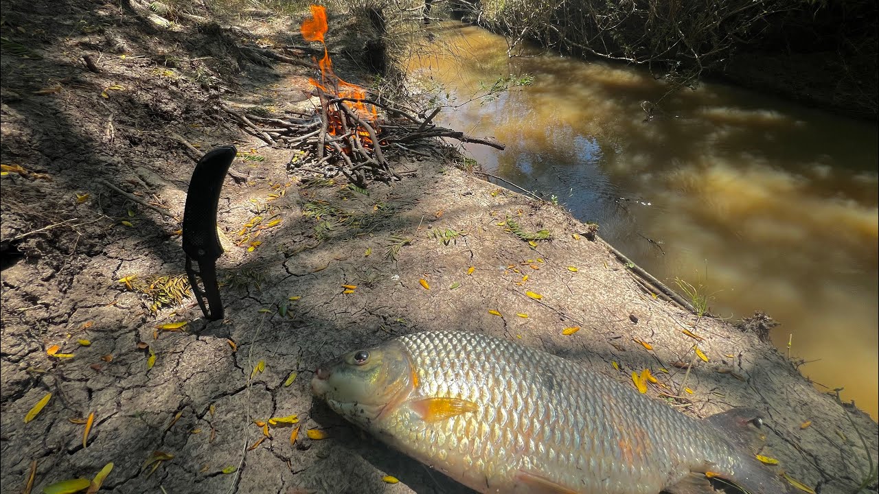 Pesca y exploración en arroyo con bogas y bagres