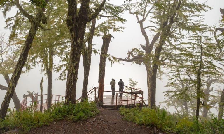 Escapadas para reconectar: el otoño en Panguipulli Sietelagos invita a ...