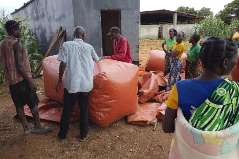 A village biogas project tests Zambia’s push to improve rural energy access