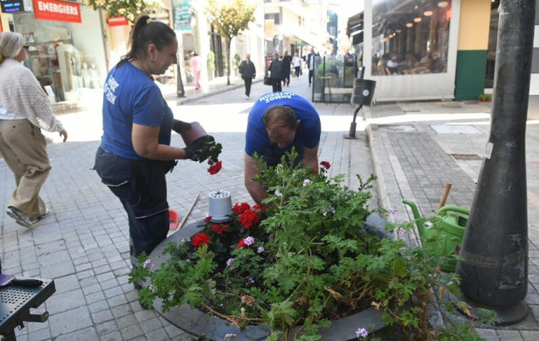 Συνεχίζονται οι δενδροφυτεύσεις από τον Δήμο Πατρέων