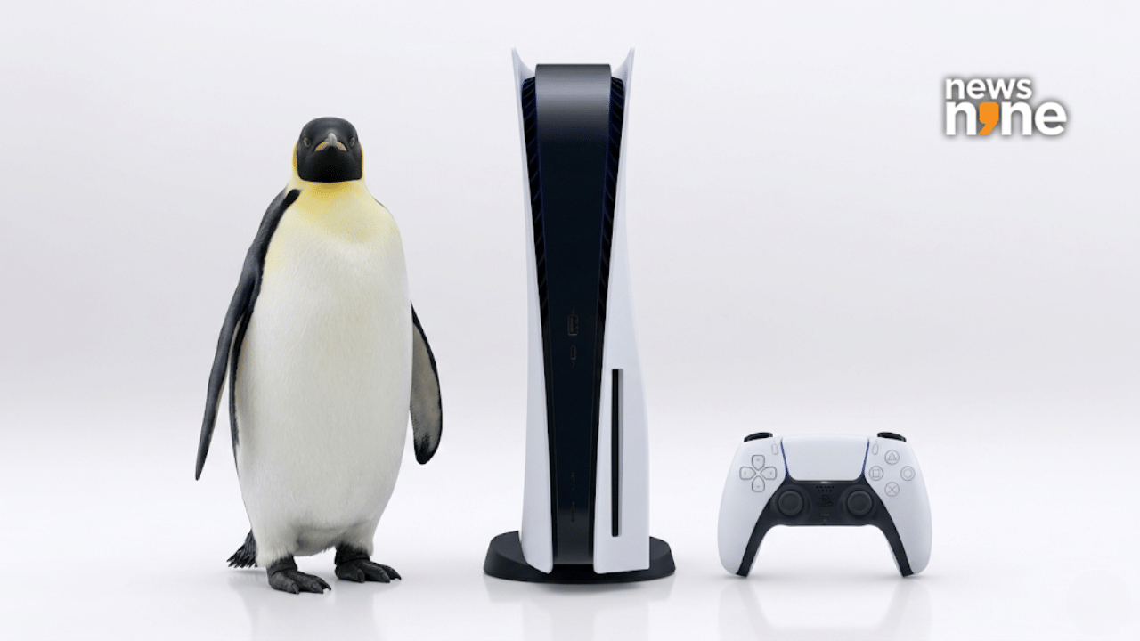 PS5 Linux hack goes public: Steam games and emulators now possible