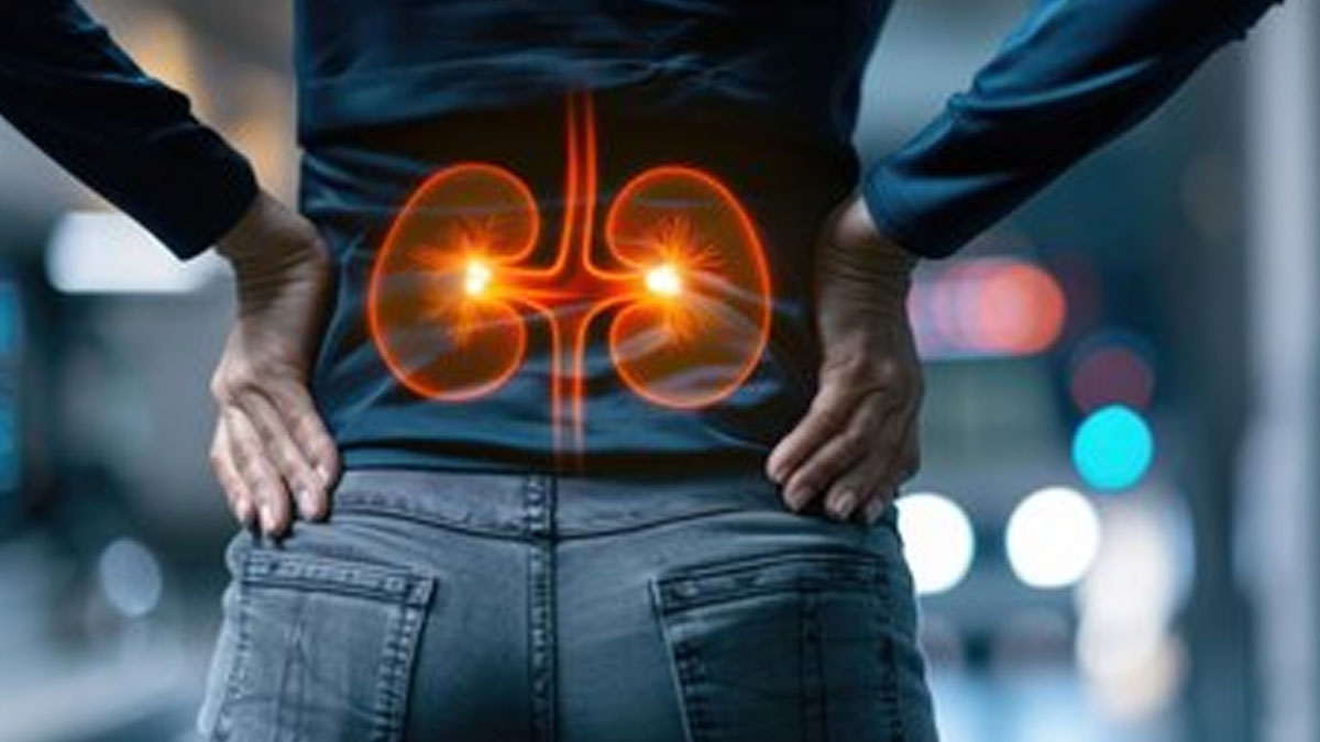 How summer affects your kidney health